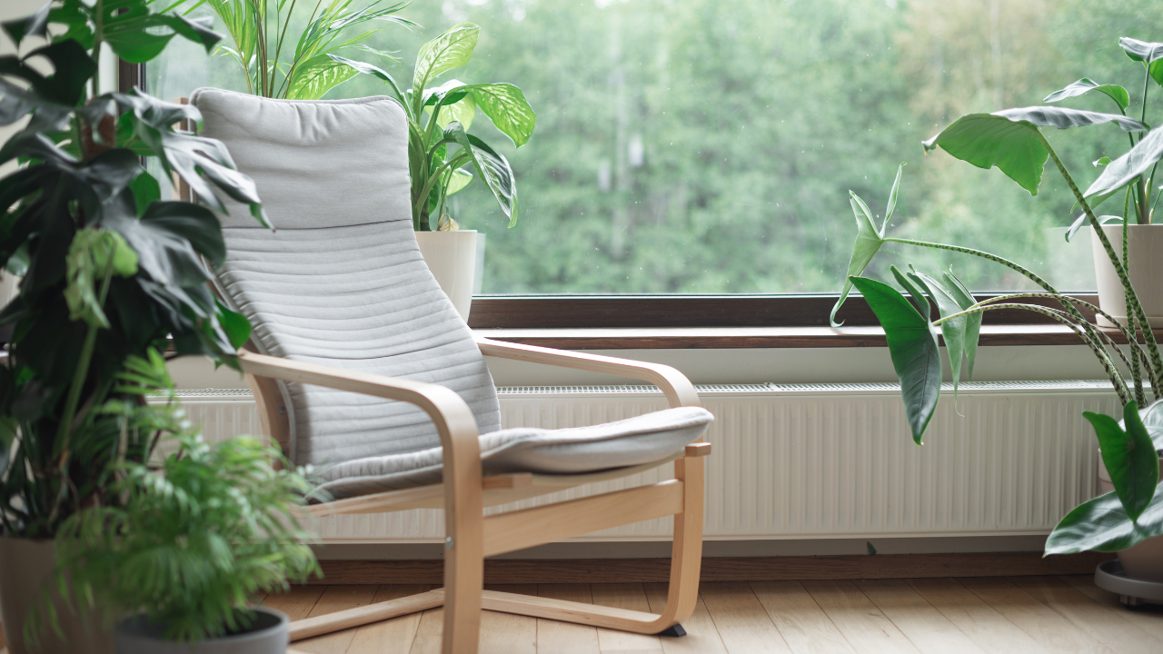 Sustainable Interior Design for India's Weather Patterns